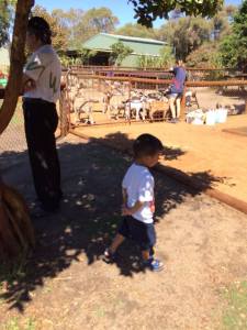 Swan Valley Cuddly Animal Farm – Perth (March 2014) | JahBella